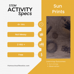 21 Ridiculously Easy Science Activities For Preschoolers - Homeschool ...