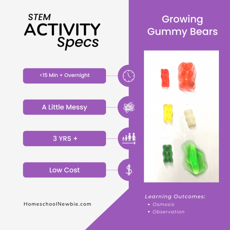 21 Ridiculously Easy Science Activities For Preschoolers - Homeschool ...