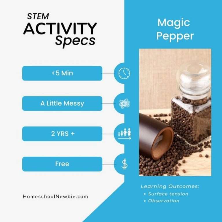 157+ Easy STEM Activities - Homeschool Newbie