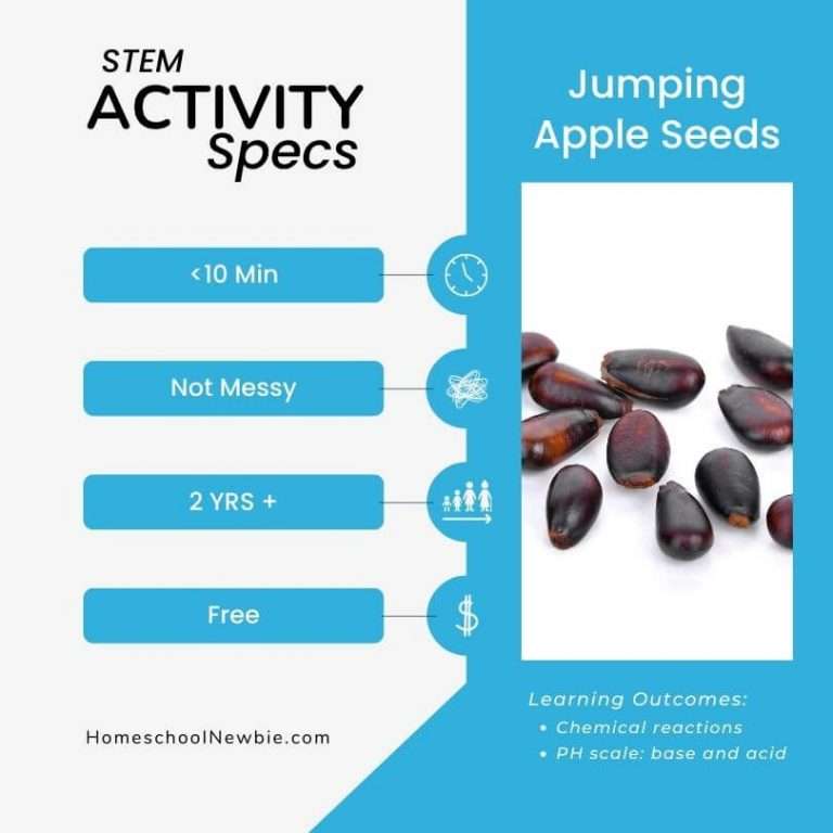 157+ Easy STEM Activities - Homeschool Newbie