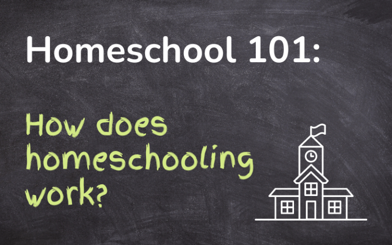 Homeschool 101: How Does Homeschooling Work? - Homeschool Newbie
