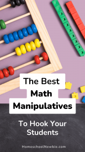 Best Math Manipulatives To Captivate Your Students - Homeschool Newbie