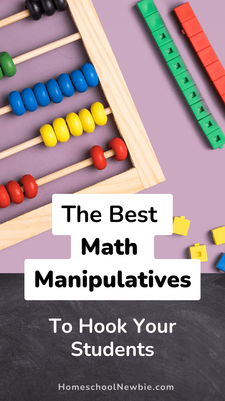 Best Math Manipulatives To Captivate Your Students - Homeschool Newbie